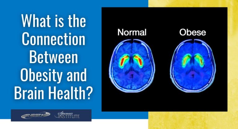 What is the Connection Between Obesity and Brain Health? - Personal ...