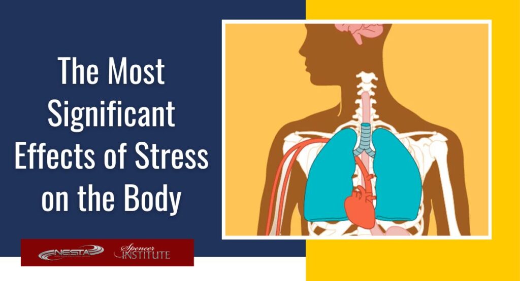 Most Dangerous Effects of Stress on The Human Body - Personal Trainer ...